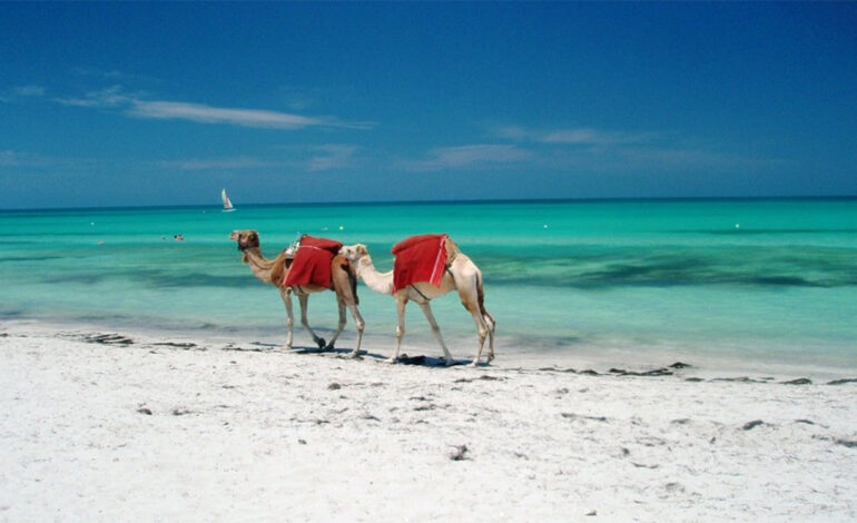 Airbnb classe Djerba Midoun parmi les destinations les plus prisées par ...