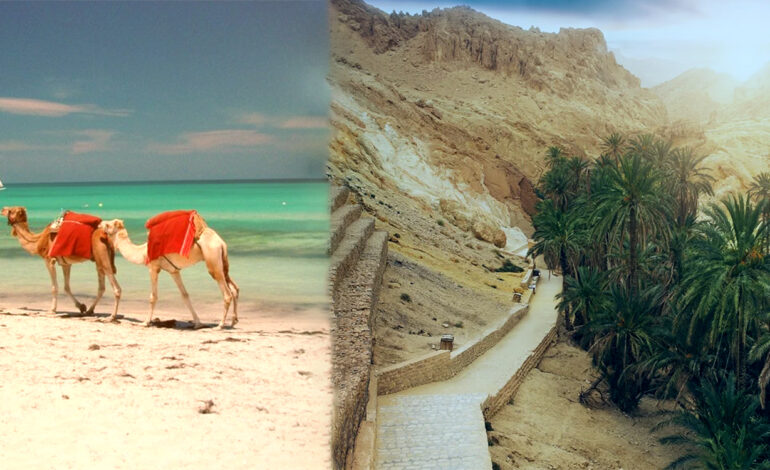 Djerba et Tozeur isolées : la crise du transport aérien intérieur ...